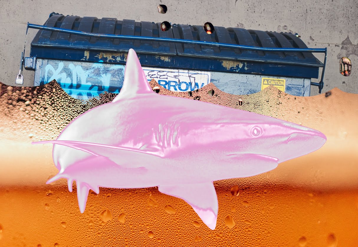 Sharks Keep Moving - Menagerie Magazine